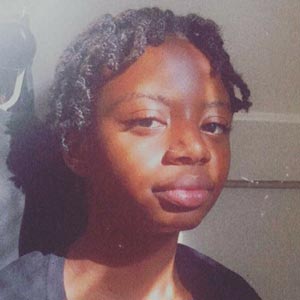 Upstate Sanctuary for Deep Learning – Our Time Press